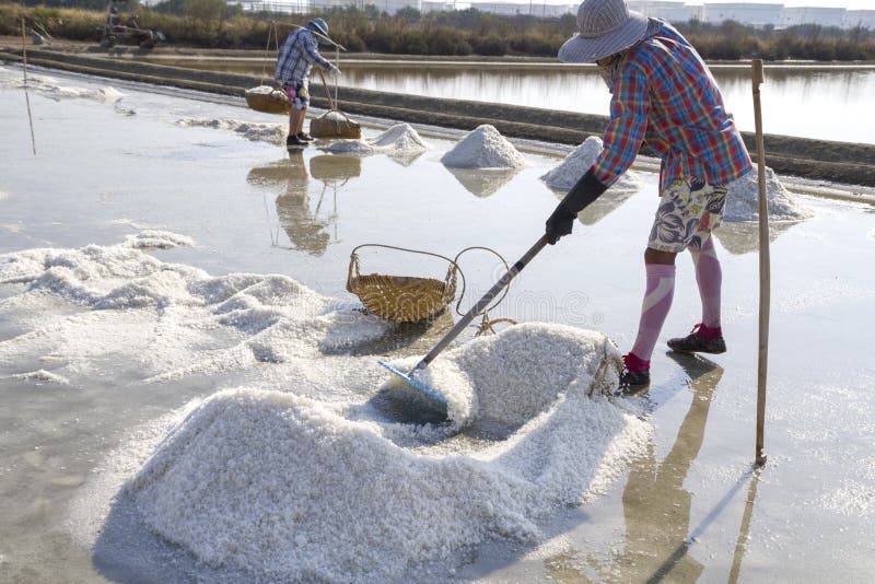 La Fabrication Du Sel De Mer Dans La Ferme De Sel Photo stock - Image ...