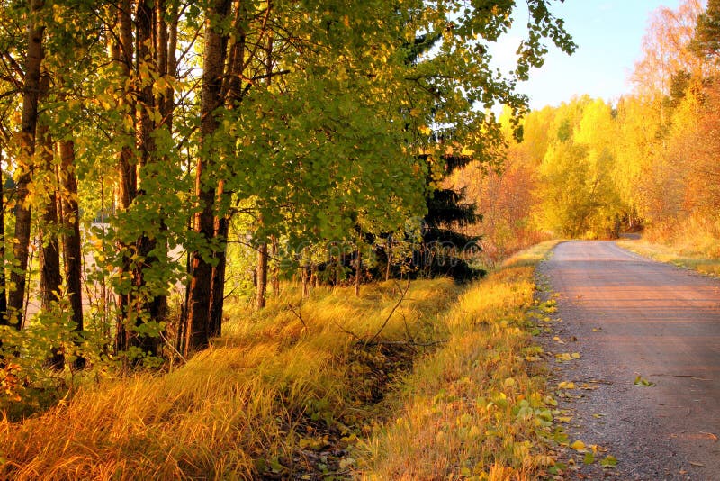 La Finlande : Route En Hiver Photo stock - Image du nordique, ligne ...