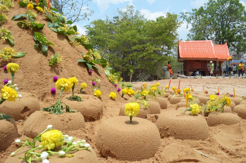 Flor de la arena foto de archivo. Imagen de flor, arena - 114454006