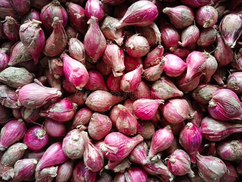 La Foto De Los Chalotes Tomada De Arriba Imagen de archivo - Imagen de ...