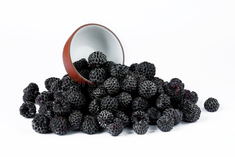 Frambuesa Negra O Zarzamora En El Tarro De Cristal Imagen de archivo ...