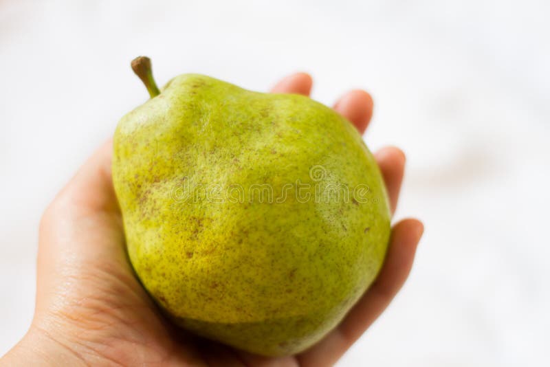 La France stock photo. Image of snack, fresh, cute, healthy - 86867232