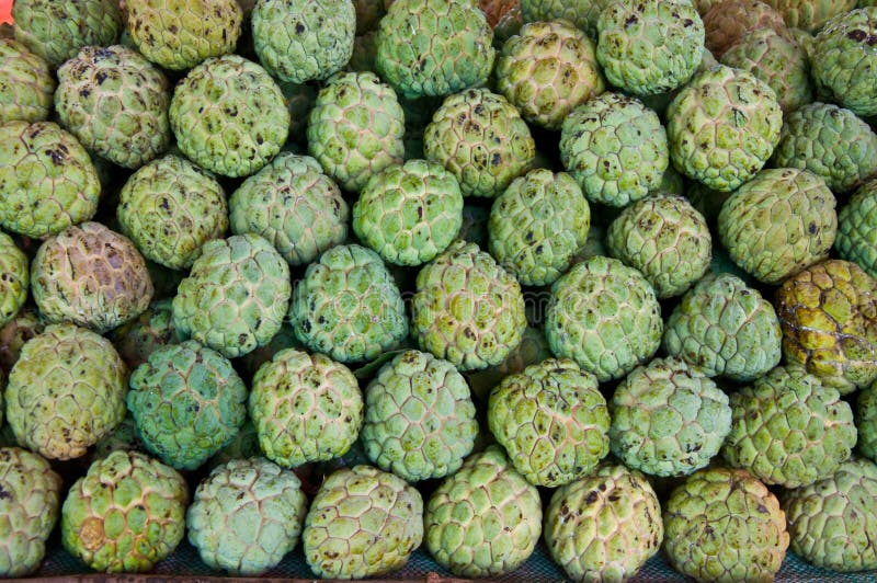 La fruta de la anona imagen de archivo. Imagen de gusto - 16275041