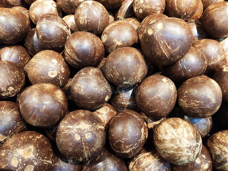 La Fruta Del Coco Es Mucho Joven Imagen de archivo - Imagen de coco ...