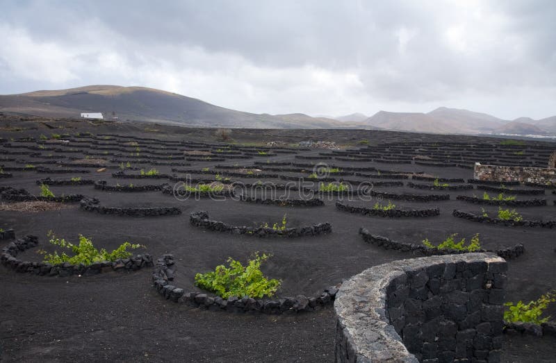 La Geria stock image. Image of lanzarote, geria, small - 14293555