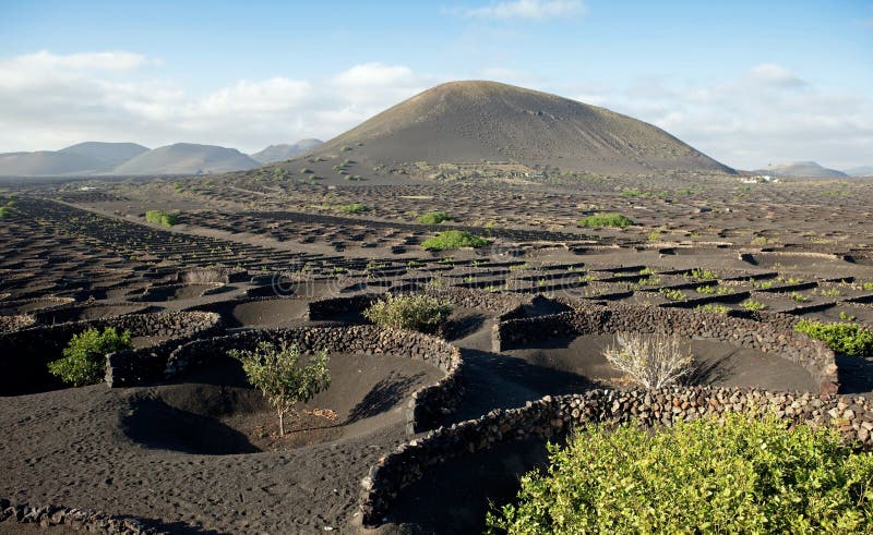 La Geria stock image. Image of nature, landscape, scene - 17673647