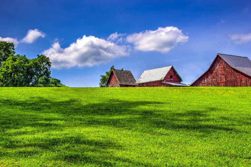 La granja imagen de archivo. Imagen de pescados, arrodillarse - 74301753