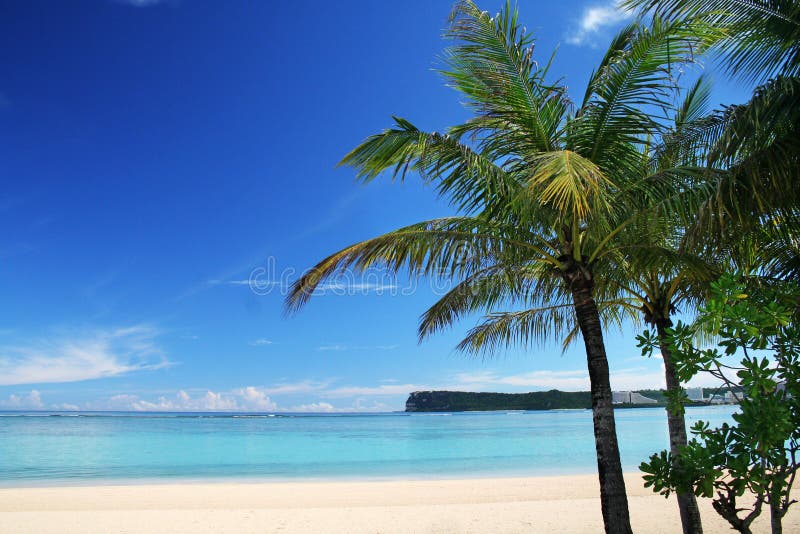 La Guam Etats-Unis image stock. Image du océan, paume - 23843837