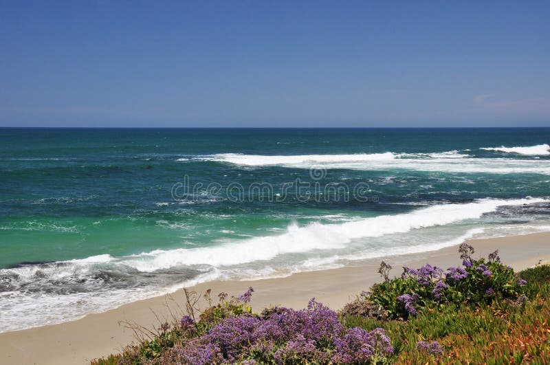 La Jolla Shell Beach stock photo. Image of beach, blue - 2136734