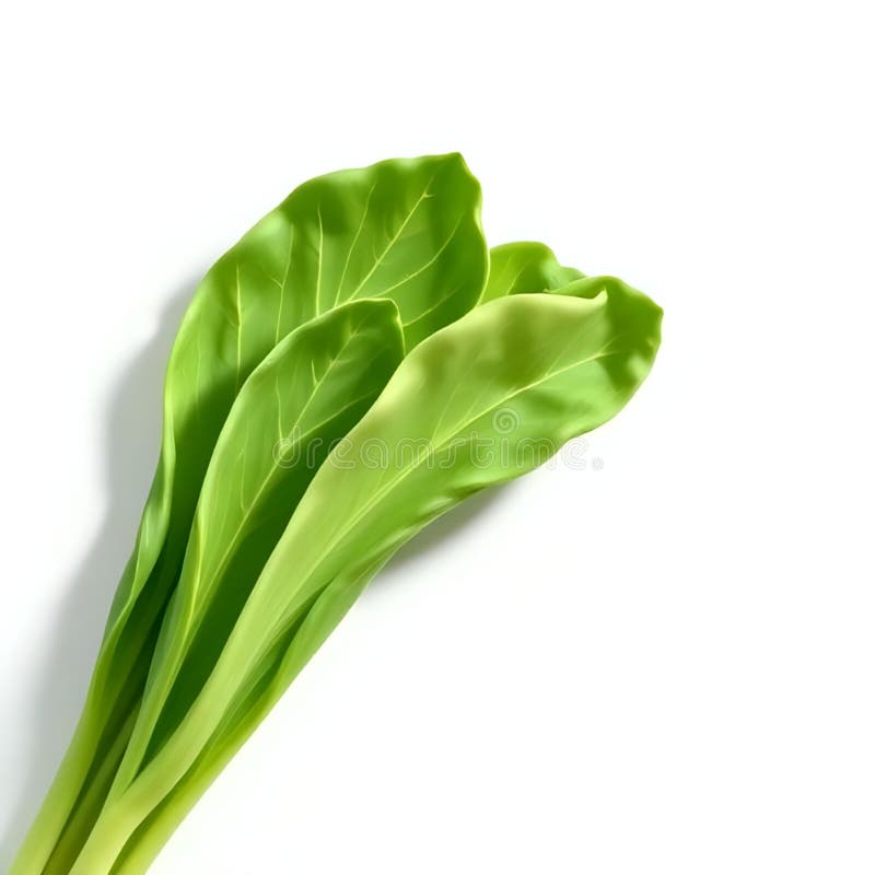 La Lechuga Verde De Crisp Deja Aislada En Blanco Foto de archivo ...