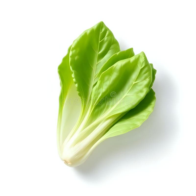 La Lechuga Verde De Crisp Deja Aislada En Blanco Foto de archivo ...