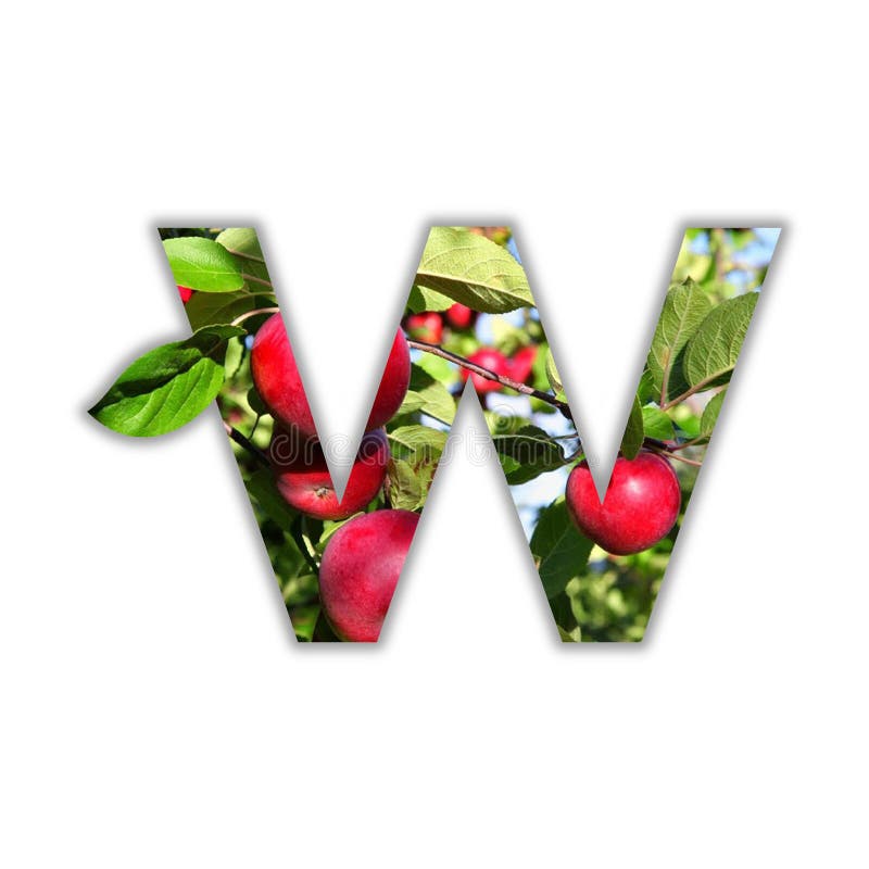 La Letra W Hizo De La Fruta Fresca Foto de archivo - Imagen de jugoso ...