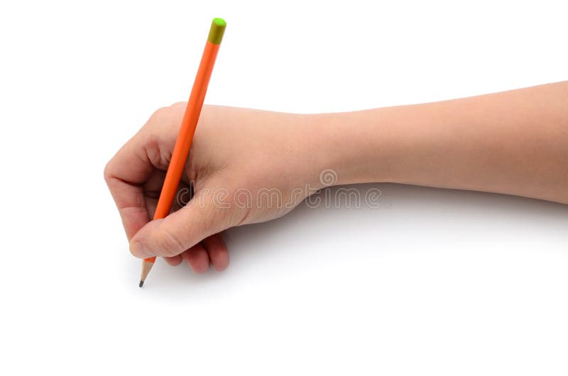 La Main Dessine Avec Un Crayon Sur Le Livre Blanc Image stock - Image ...