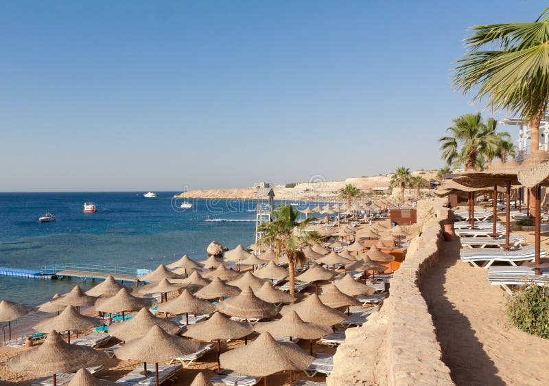 Plage De La Mer Rouge - Egypte Image stock - Image du egypte, rouge ...