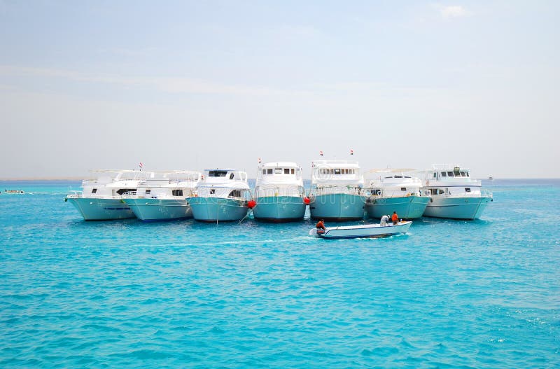 La Mer Rouge en Egypte photo stock. Image du beauté, exotique - 5455908