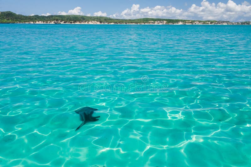 La mer verte photo stock. Image du océan, lagune, rayon - 24032224