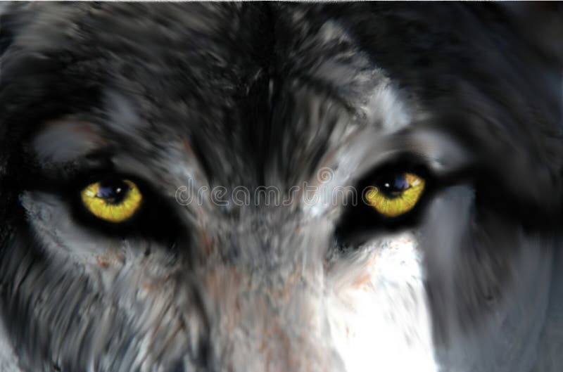 La Mirada Intensa De Un ` S Del Lobo Observa Stock de ilustración ...