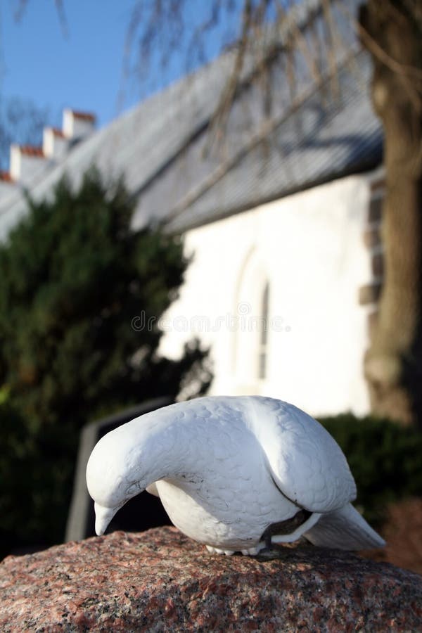 315 Photos de Colombe De La Mort - Photos de stock gratuites et libres ...