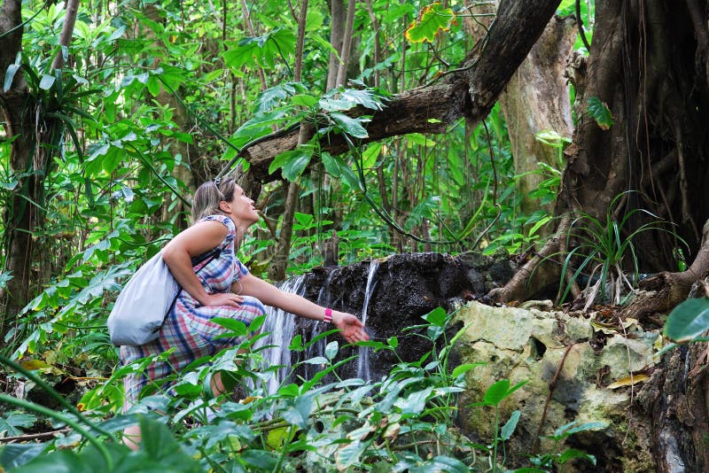 Selva tropical en Jamaica foto de archivo. Imagen de ambiente - 32298902