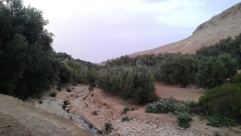 La nature stock photo. Image of maroc, marakech, belle - 75433030