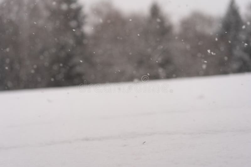 La Neve Cade Sullo Sfondo Degli Alberi Fotografia Stock - Immagine di ...