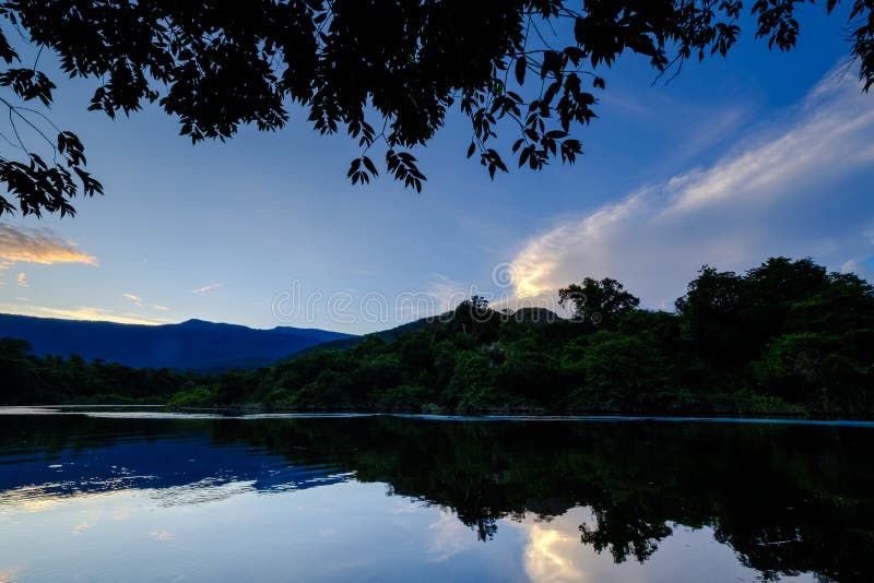 La Noche Baja En La Selva Del Amazonas Imagen de archivo - Imagen de ...