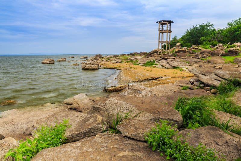 La orilla foto de archivo. Imagen de blanco, planta, regional - 74683558