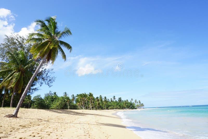La Playa De Punta Popy, Las Terrenas Imagen de archivo - Imagen de ...