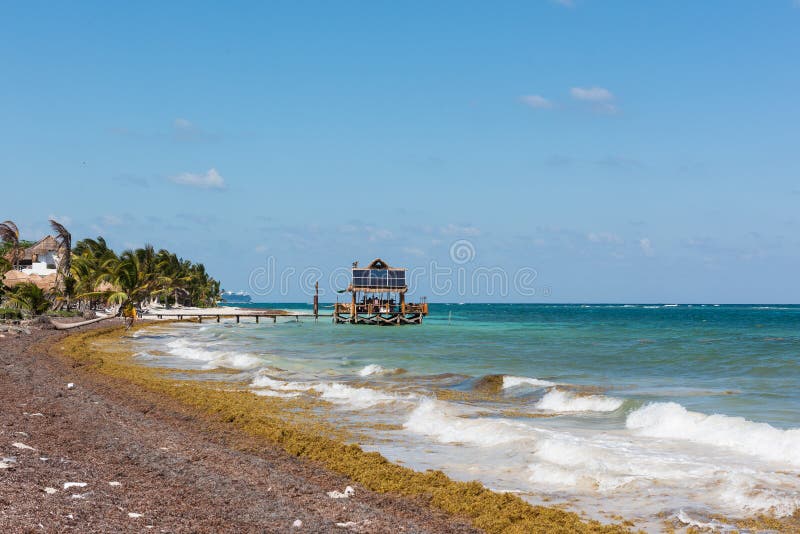 La Playa En Mahahual, México Foto de archivo - Imagen de recurso ...