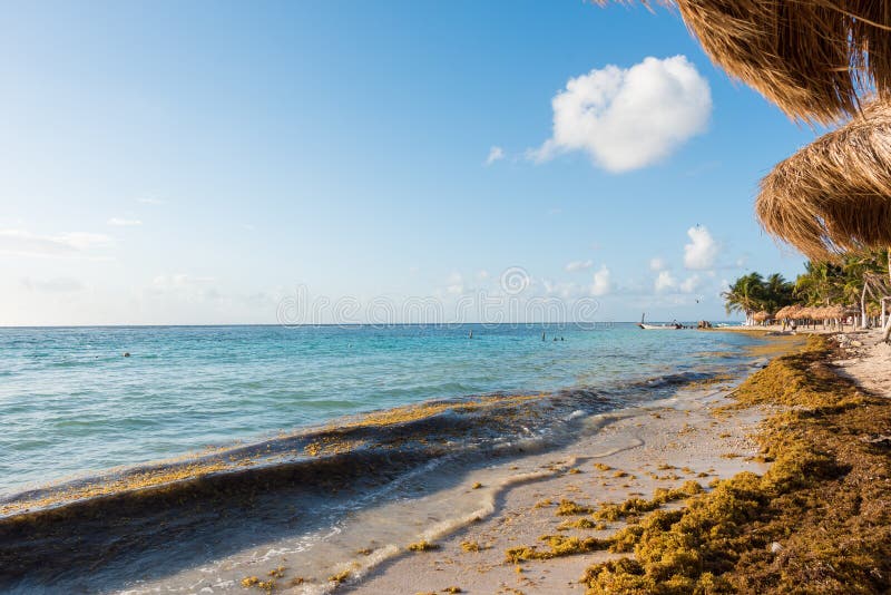 La Playa En Mahahual, México Foto de archivo - Imagen de calma, hermoso ...