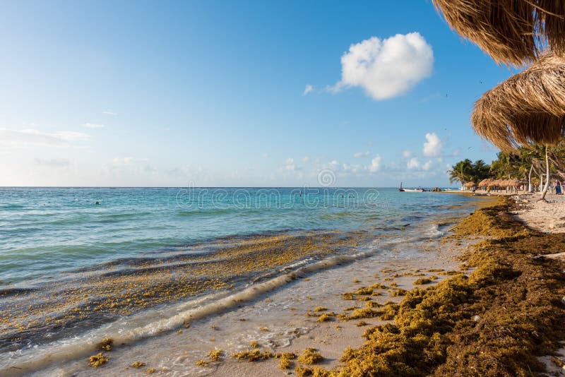 La Playa En Mahahual, México Foto de archivo - Imagen de océano, nadada ...
