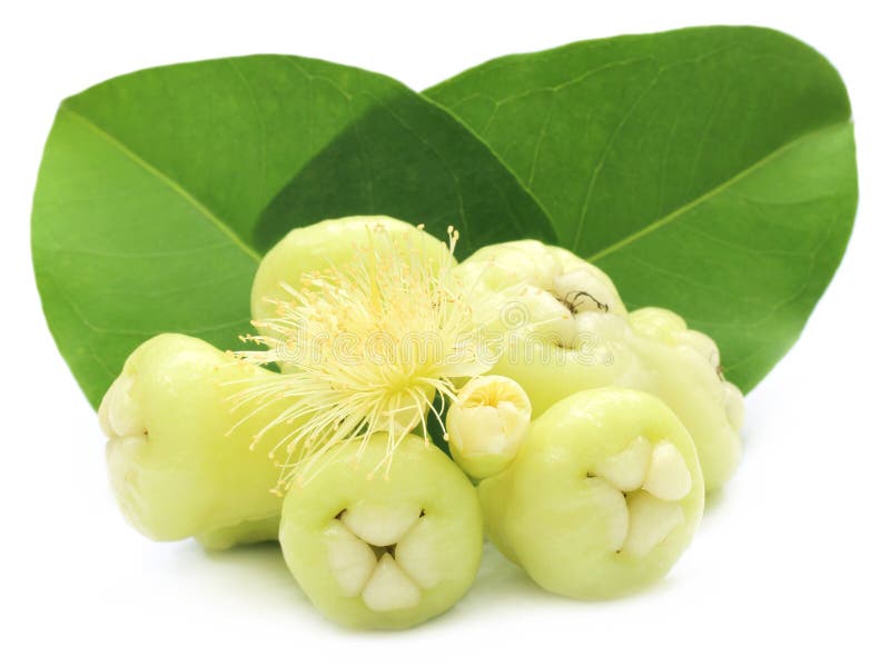 Pomme D'eau Douce Ou Pomme Rose Image stock - Image of nutrition ...