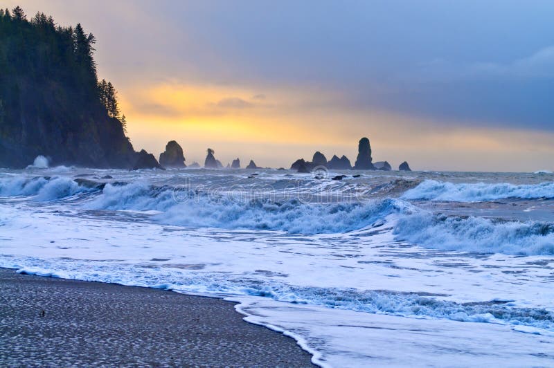 La Push Beach stock photo. Image of forks, beach, wave - 23922028