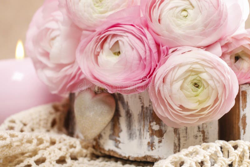 La Renoncule Persane Rose Fleurit (le Ranunculus) Image stock - Image ...