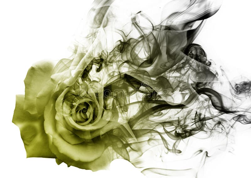 Fuma Rosa En Un Fondo Negro Imagen de archivo - Imagen de efecto ...