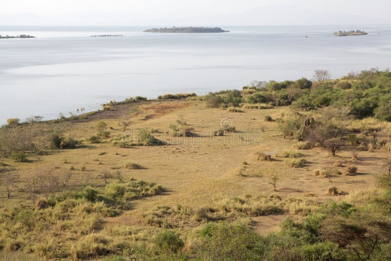 La savane et lac africains photo stock. Image du éthiopien - 31433520