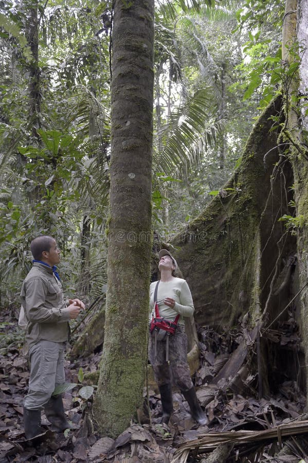 La Selva Amazon Ecolodge, Orellana Editorial Photo - Image of republic ...
