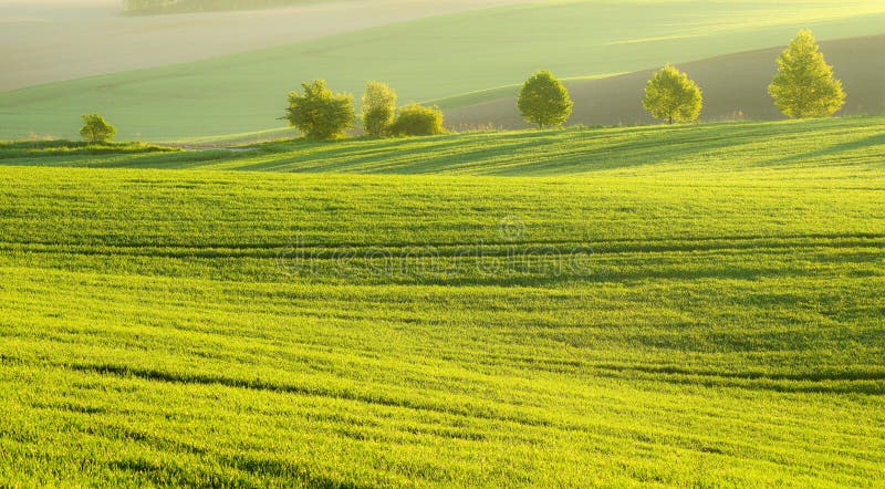 La Strada in Mezzo Ai Campi Immagine Stock - Immagine di agricoltura ...