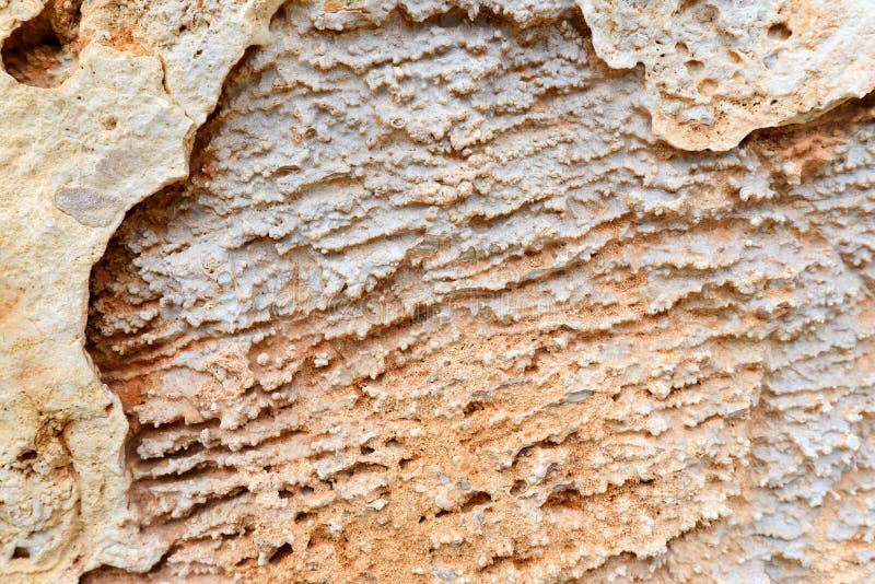 La Structure De La Pierre Naturelle De Chaux Photo stock - Image du ...