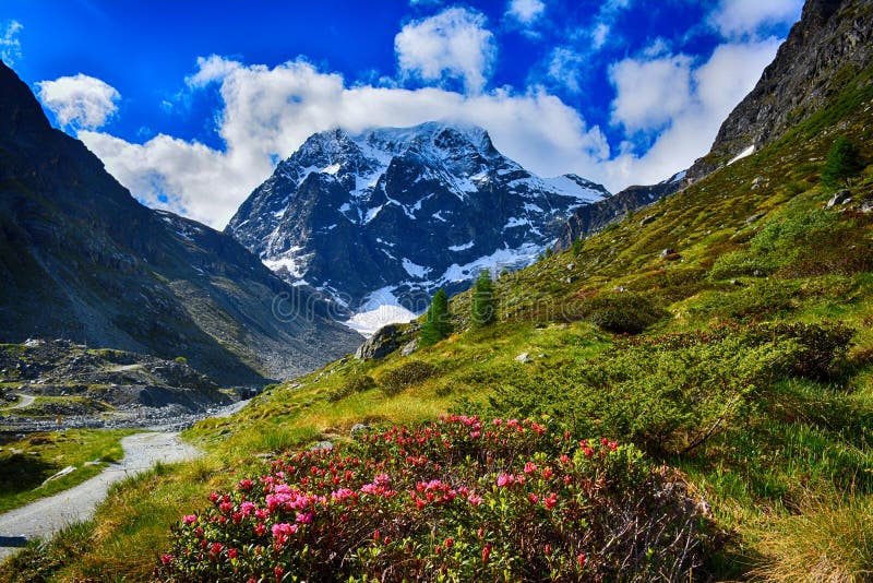 Mont Collon - Arolla, Valais, Suisse Image stock - Image du switzerland ...