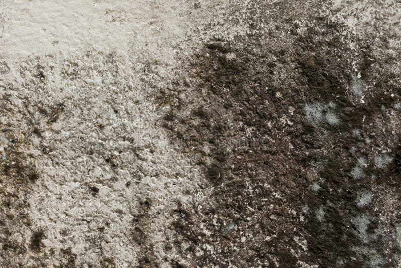 Mur sale avec le moule photo stock. Image du moulage - 105368002
