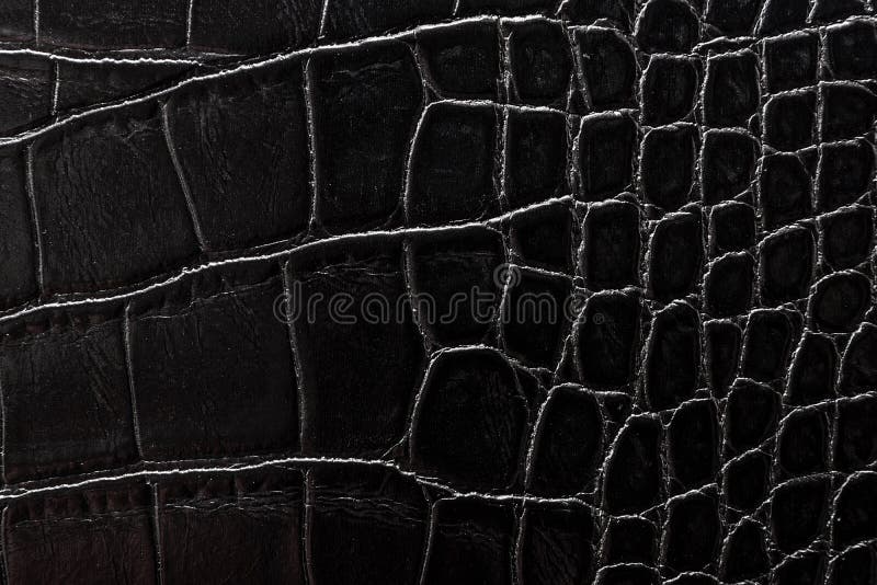 La Textura De La Piel Es Gris Imagen de archivo - Imagen de retro ...