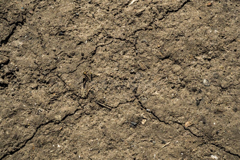 La textura de la tierra imagen de archivo. Imagen de ambiental - 156382825