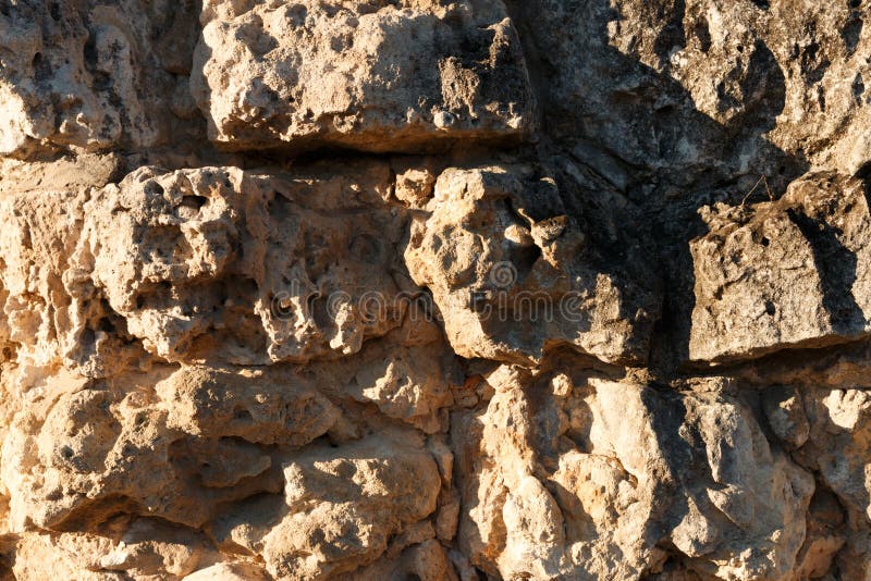 708 Pierre Poreuse Photos libres de droits et gratuites de Dreamstime