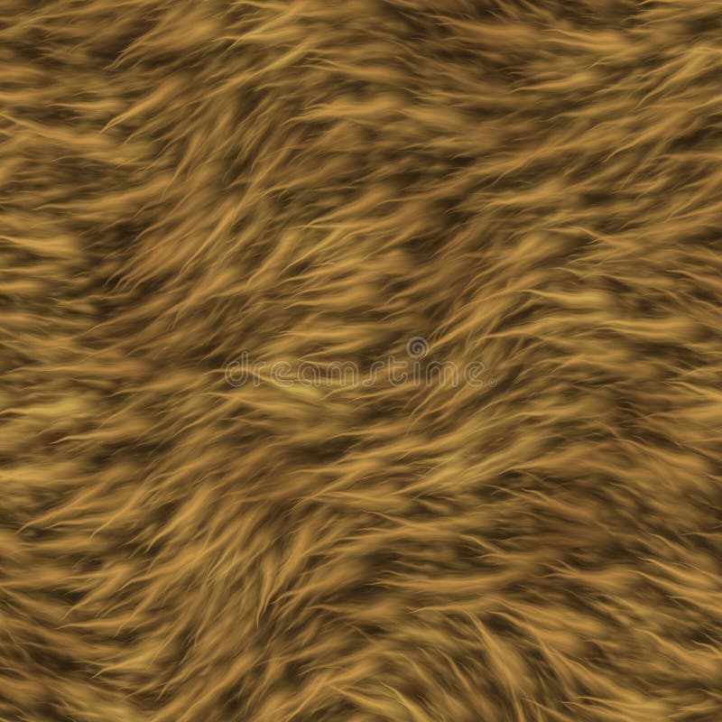 La Texture De La Fourrure D'un Lion. Illustration Stock - Illustration ... La Texture De La Fourrure D'un Lion. Illustration Stock - Illustration ...