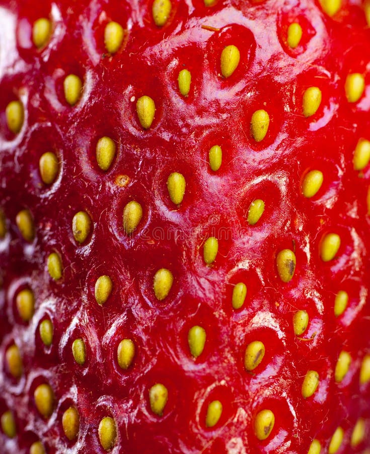 Fond de texture de fraise photo stock. Image du fraise - 22939756