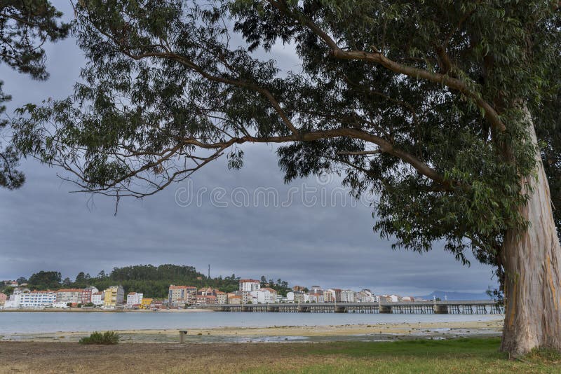 La Toja Island. stock image. Image of fishing, ocean - 59695993