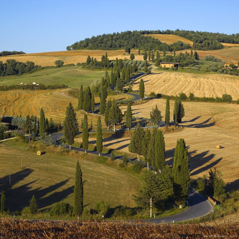La Toscane - serpentine photo stock. Image du scénique - 14101386