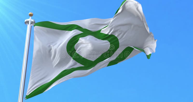 La Union City Flag, Chile. Loop Stock Video - Video of identity, area ...