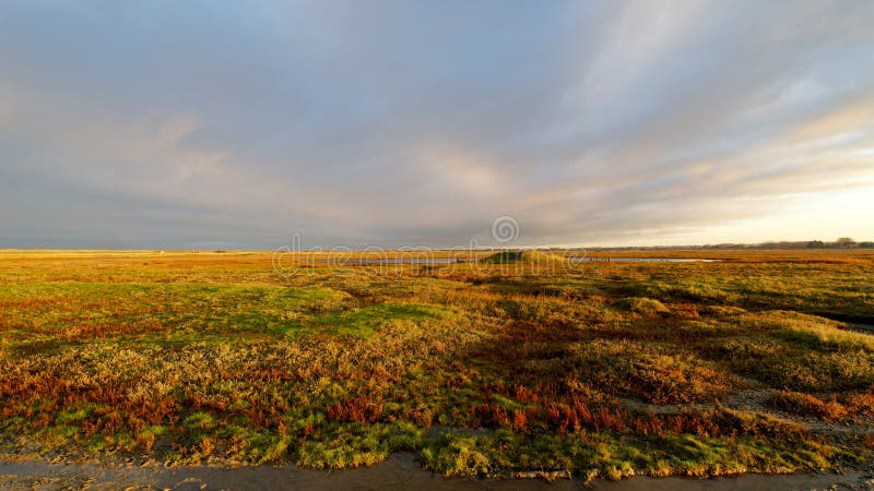 La Vanlées Saltmarsh in Bricqueville-sur-Mer Coast Stock Photo - Image ...